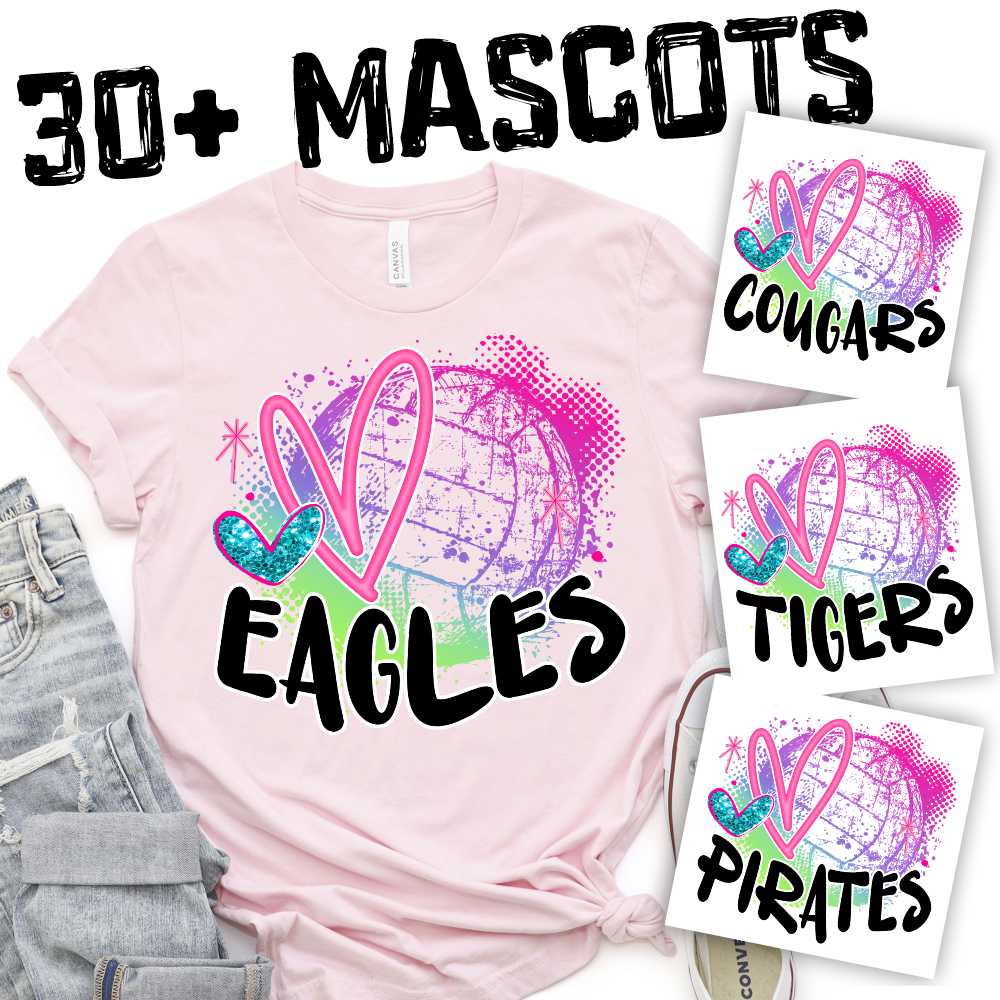 CUSTOM MASCOT Rainbow VOLLEYBALL with pink heart and black team name ...